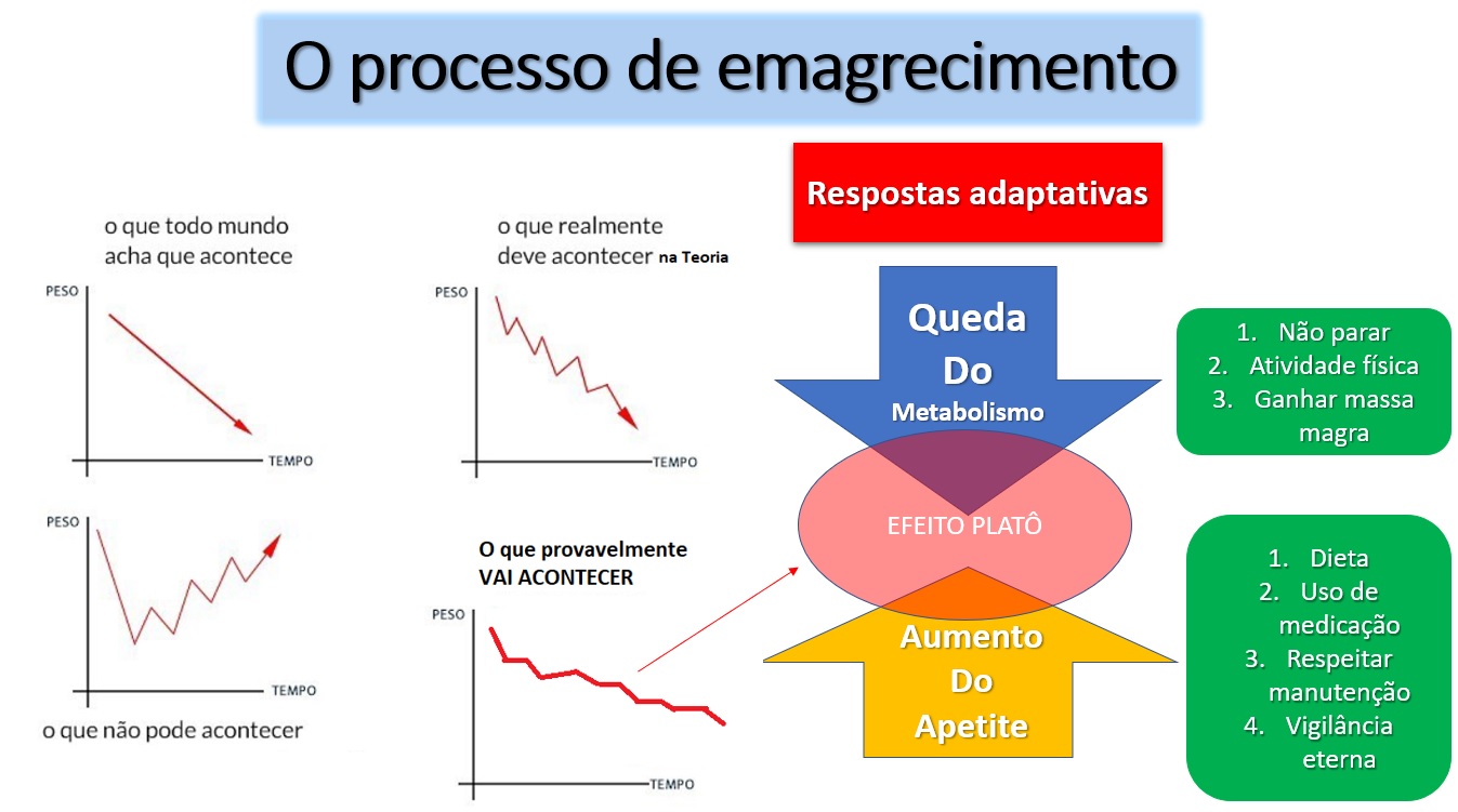 Dr. Frederico Lobo | Nutrólogo Goiânia